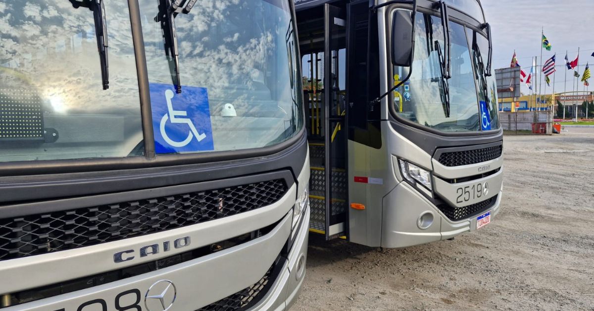 Portal BC Bus informa as linhas e os horários dos ônibus gratuitos em ...